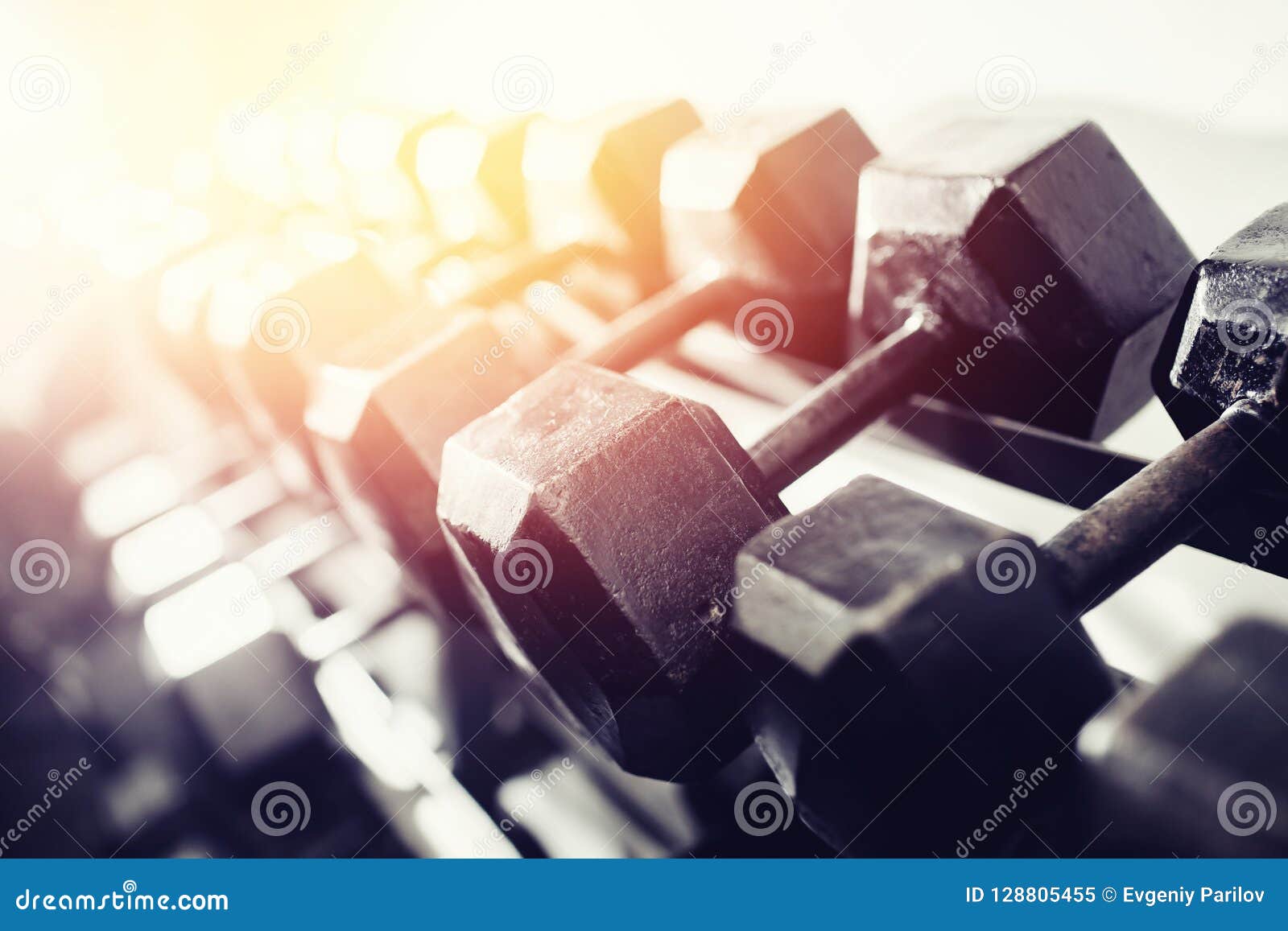 Levantamiento De Pesas, Equipo De Deportes Imagen de archivo - Imagen ...