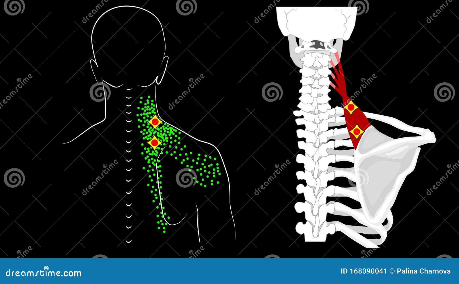 Trigger Stock Illustrations – 19,052 Trigger Stock Illustrations ...