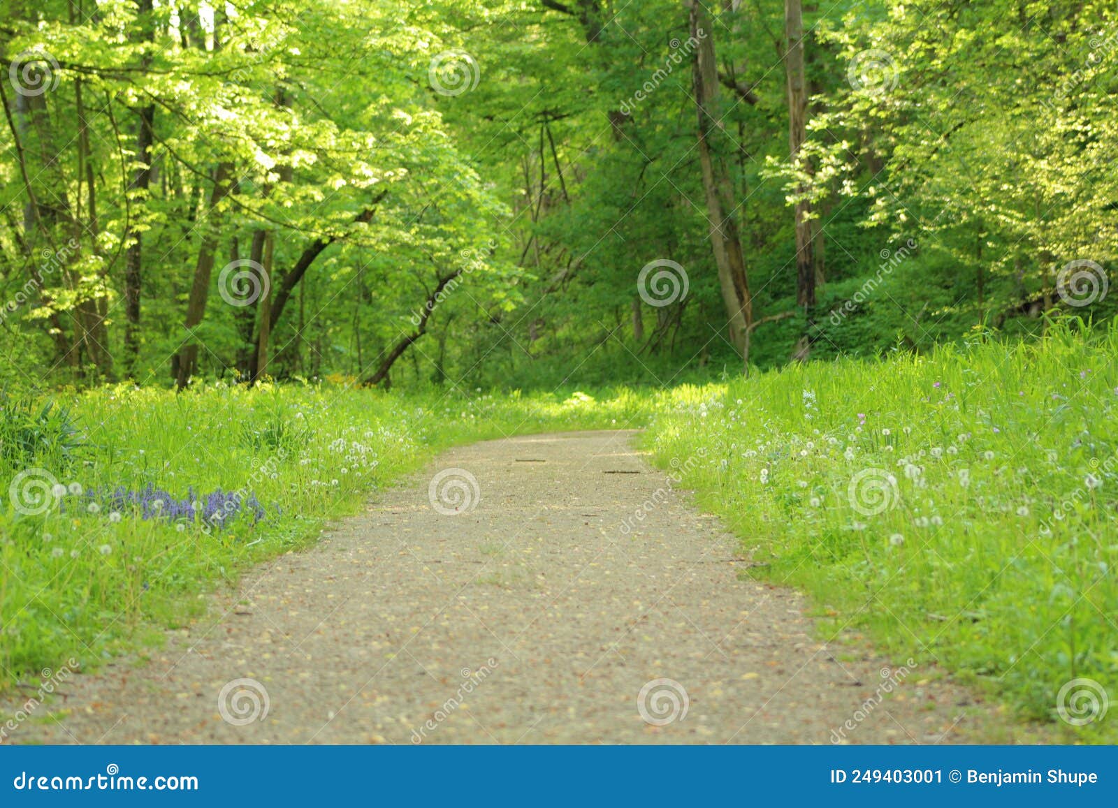 Level Path stock image. Image of level, nature, rocky - 249403001