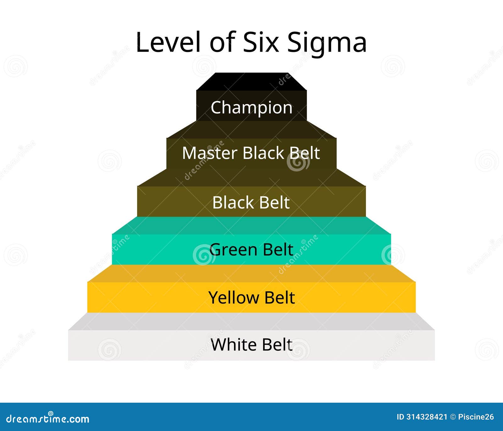 Level of Six Sigma for Champion, Master Black Belts, Black, Green ...