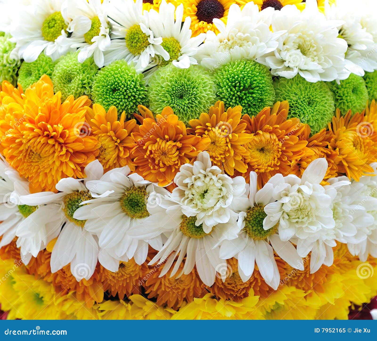 1,101 Flowers Levels Stock Photos - Free & Royalty-Free Stock Photos ...