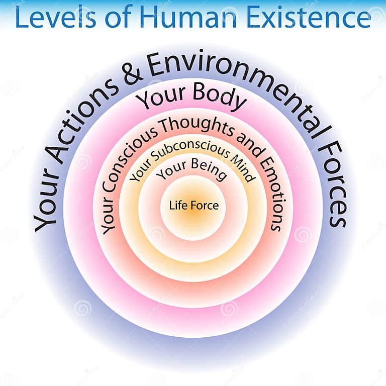 Levels of Human Existence Chart Stock Vector - Illustration of ...
