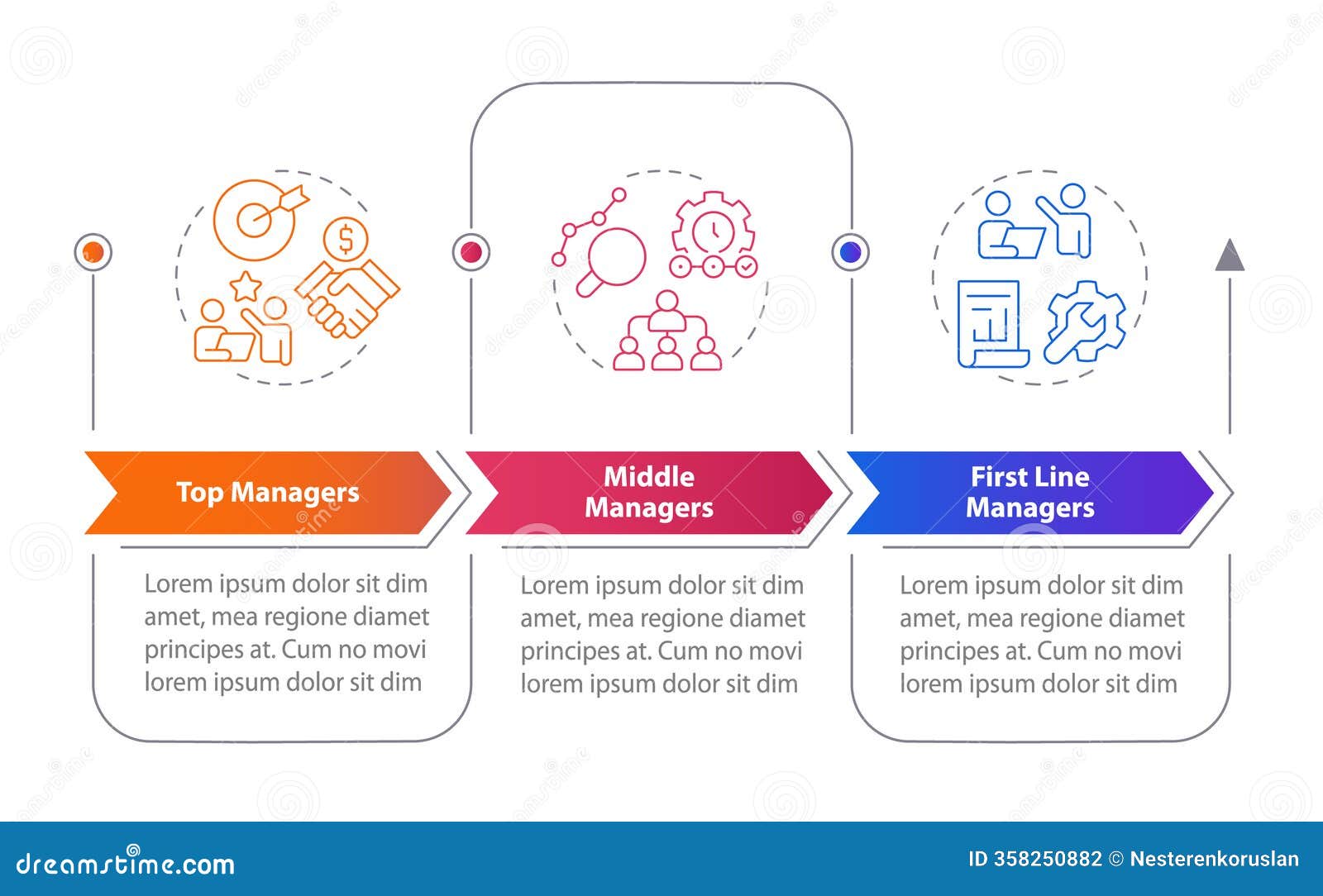 Levels Of Management Infographic Vertical Sequence Cartoon Vector ...