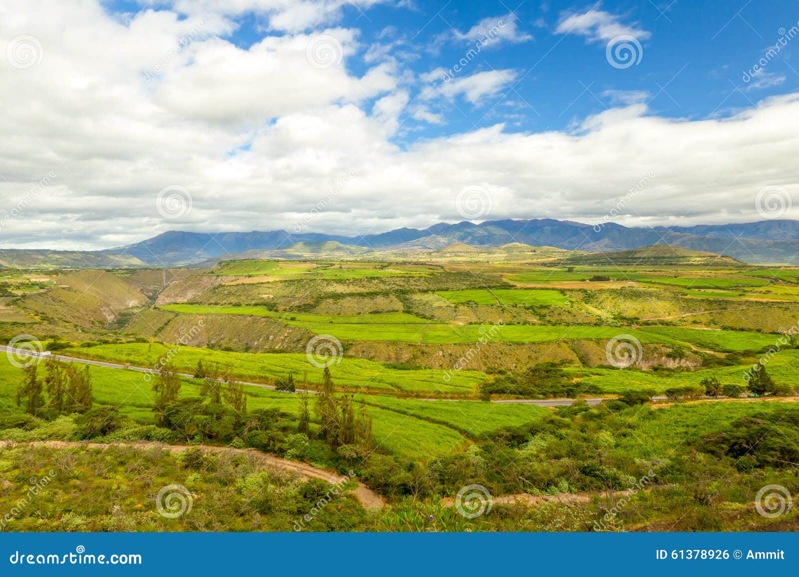 Levendig Groen Landschap stock foto. Image of productie - 61378926
