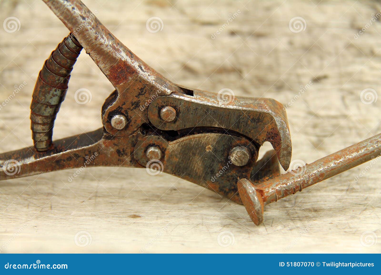 Lever in Front Cutting Pliers Stock Photo - Image of knipex, pincers ...