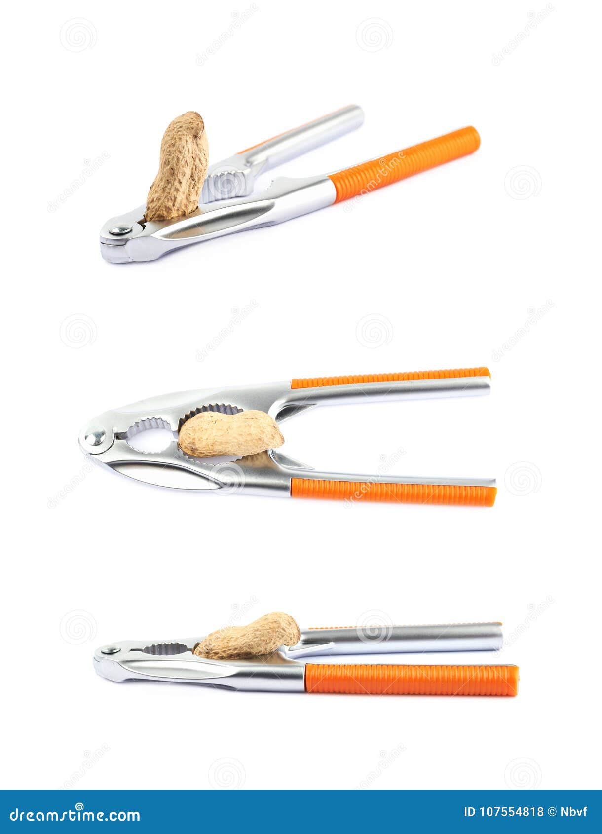 Lever nutcracker isolated stock photo. Image of macro - 107554818