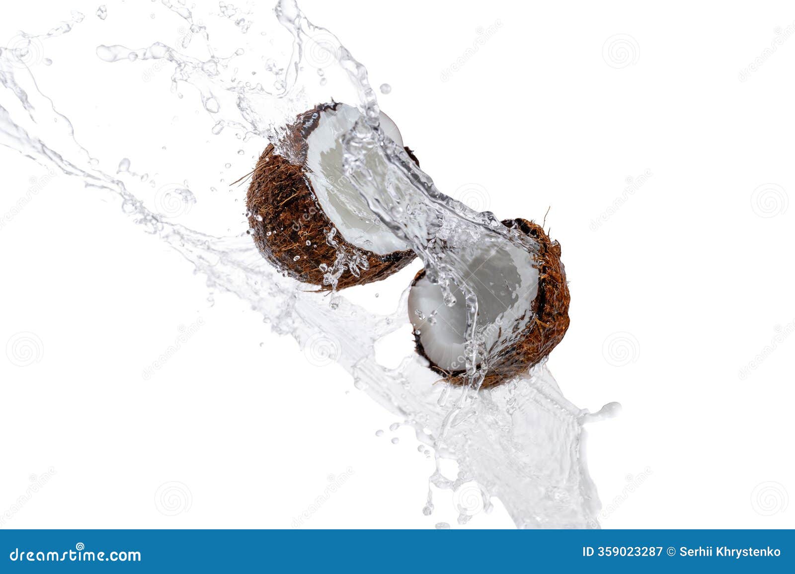 A Broken Coconut Endosperm, A Broken Coconut With An Embryo, And A ...