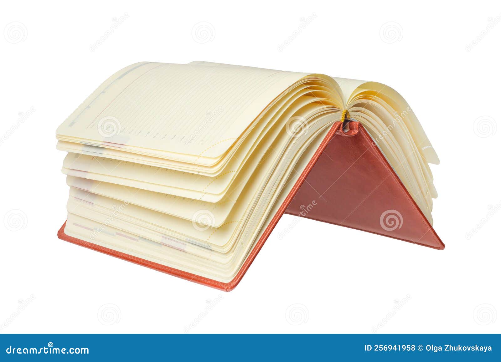 Levitation of an Open Book on a White Background Stock Photo - Image of ...