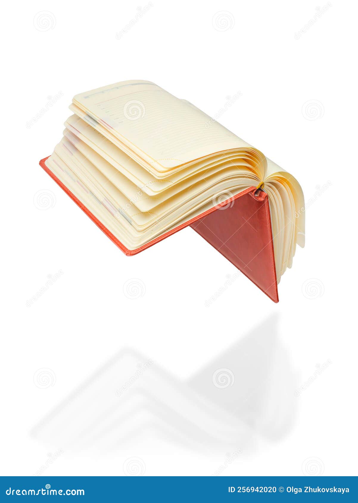 Levitation of an Open Book on a White Background Stock Photo - Image of ...