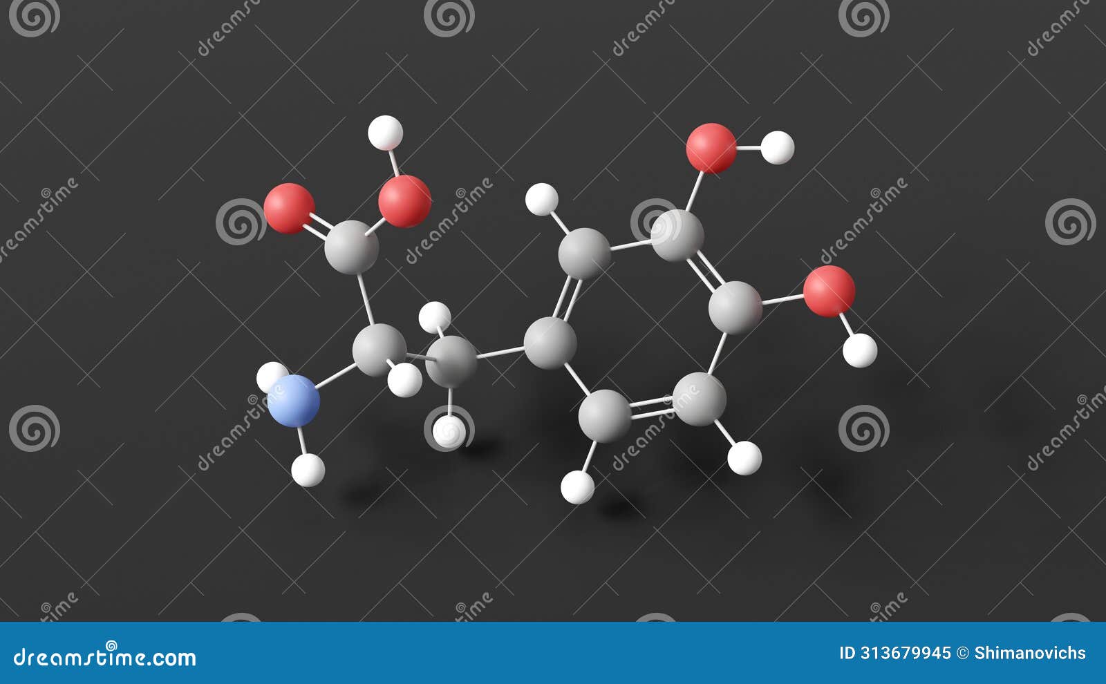 Levodopa Molecular Structure, L-dopa, Ball and Stick 3d Model ...