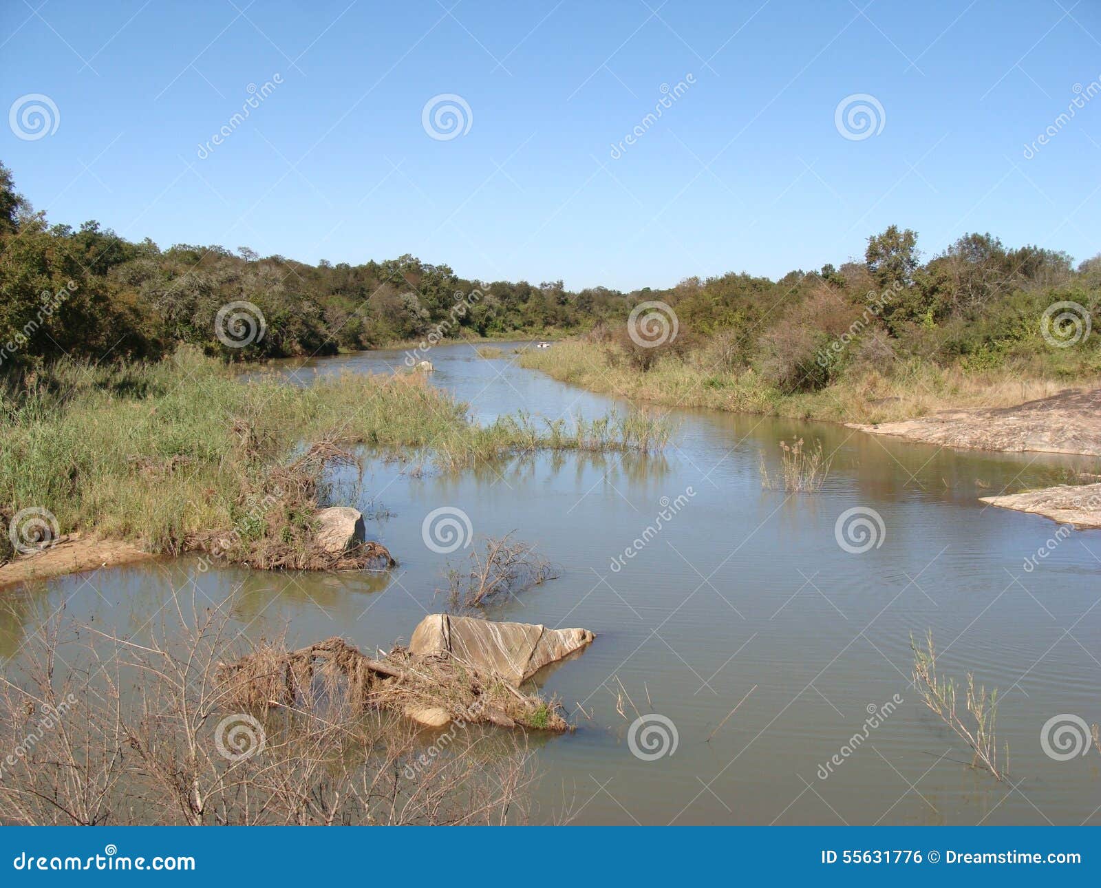 Levubu River stock photo. Image of river, rocks, bushveld - 55631776