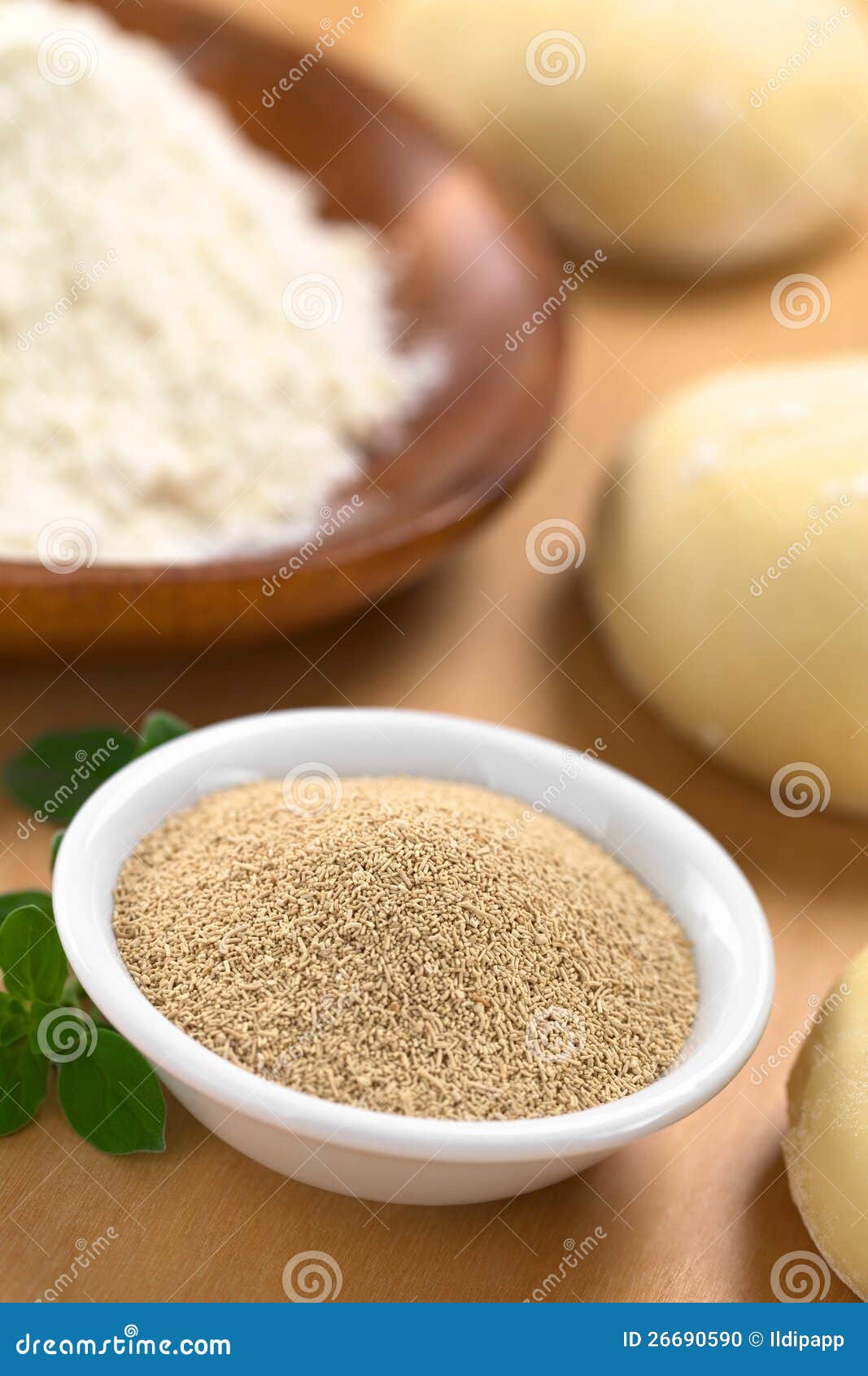 Levure sèche active photo stock. Image du préparation - 26690590