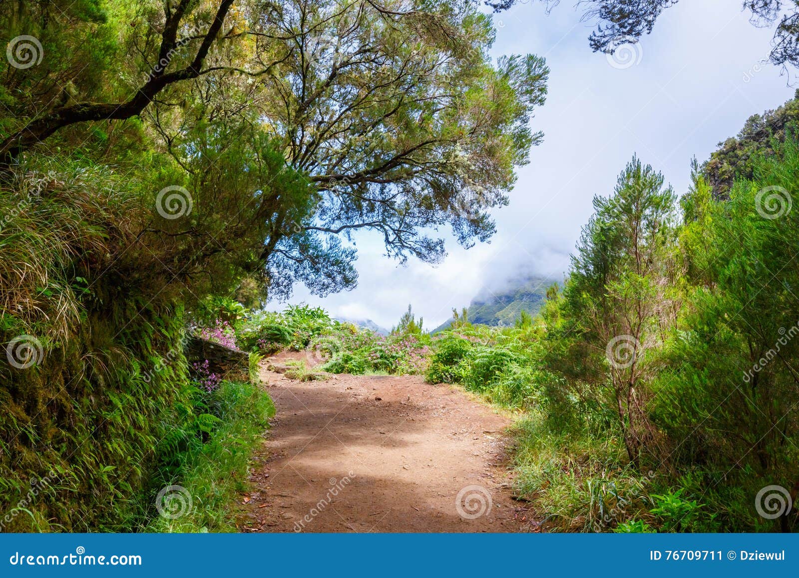 Lewada Doet Risco, Madera Eiland, Portugal Stock Afbeelding - Image of ...