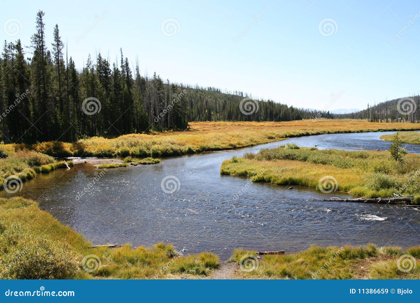 Lewis River stock image. Image of grass, calm, water - 11386659