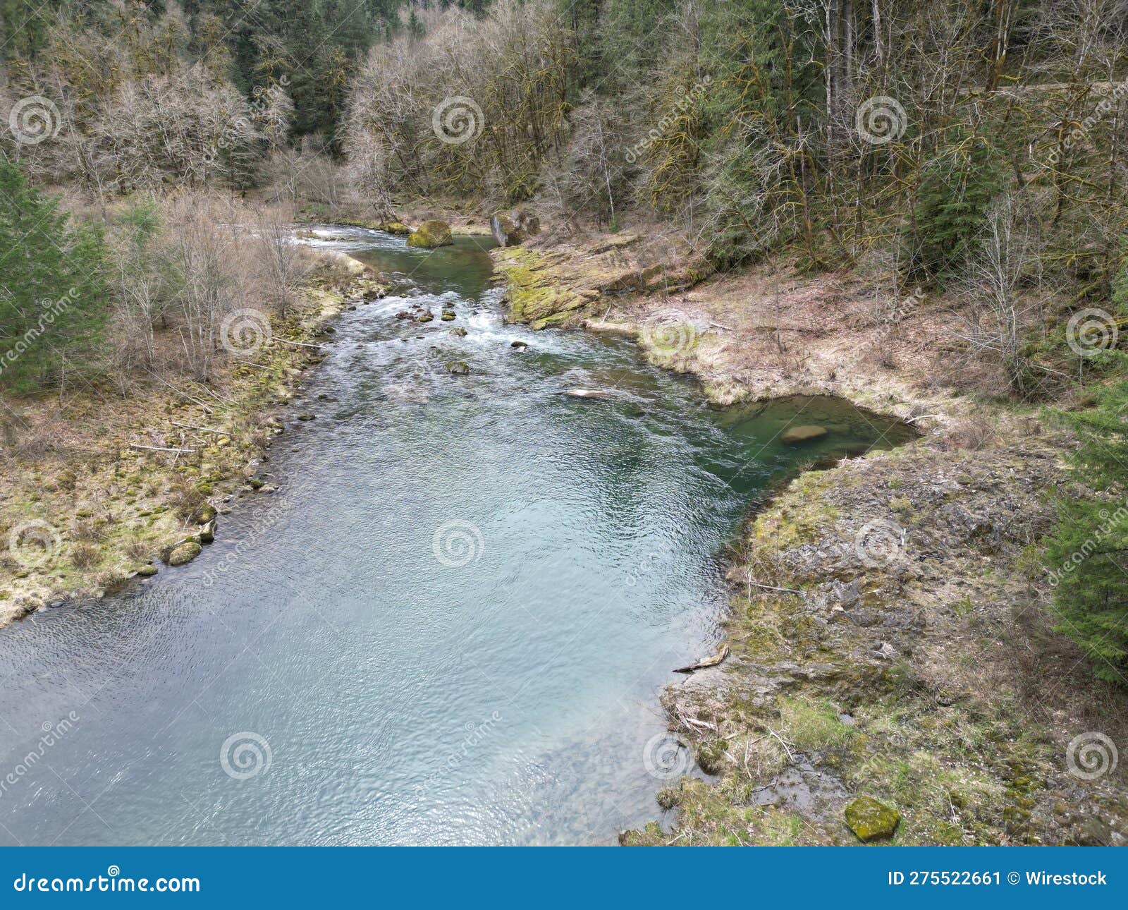 Beautiful Lewis River in Cougar, Washington Stock Image - Image of ...