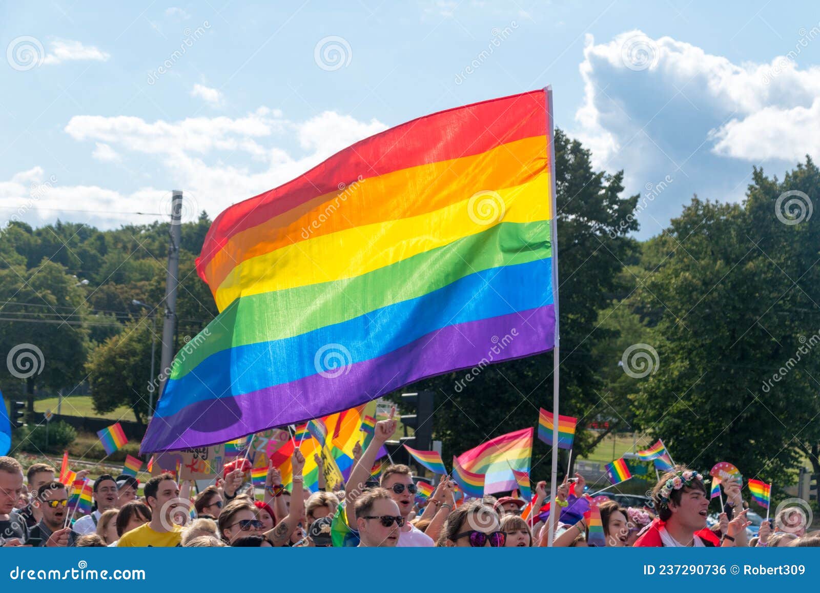 LGBT Flag on Equality March. Editorial Photo - Image of police, 1970s ...
