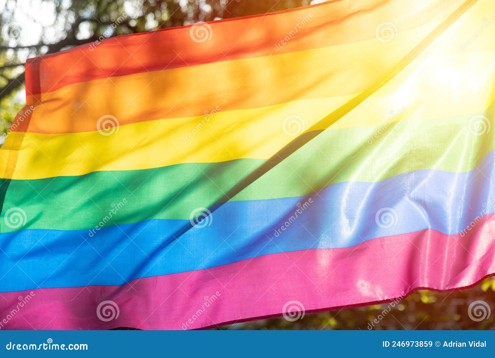 Lgbtq Rainbow Colors Flag A Symbol For The Homosexual Community