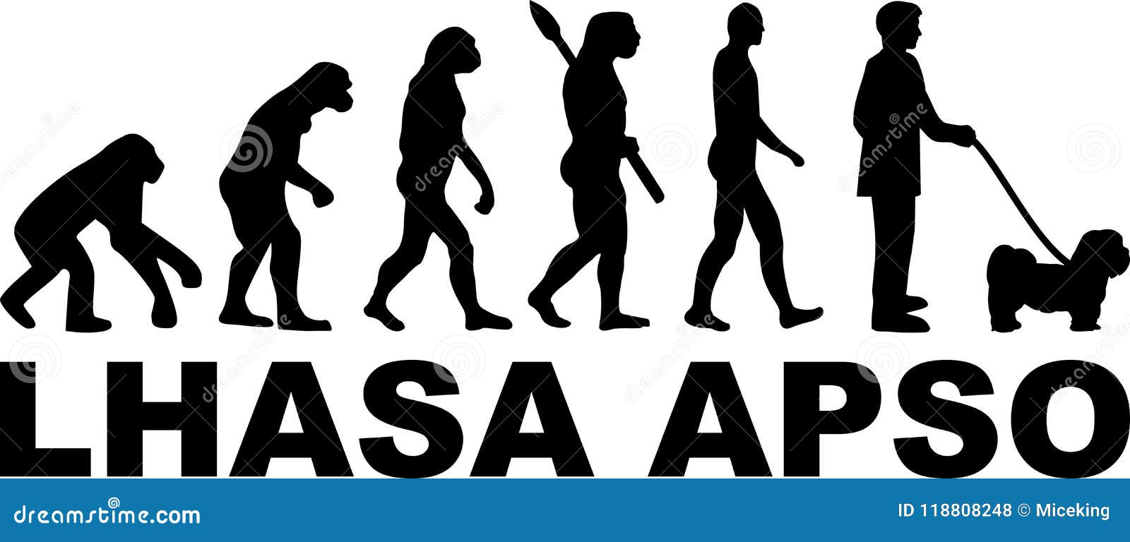 Lhasa Apso evolution word stock vector. Illustration of evolution ...