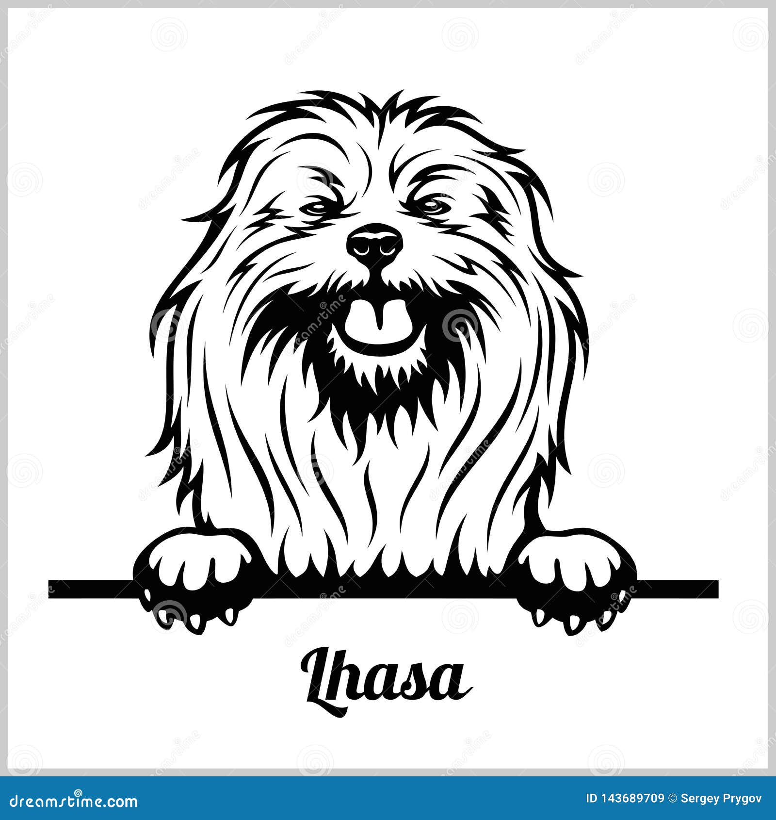 Lhasa - Peeking Dogs - Breed Face Head Isolated on White Stock Vector ...