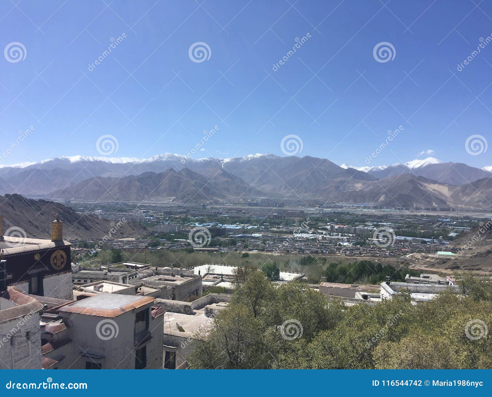Lhasa in Spring in Tibet, China. Stock Photo - Image of tibet, flower ...
