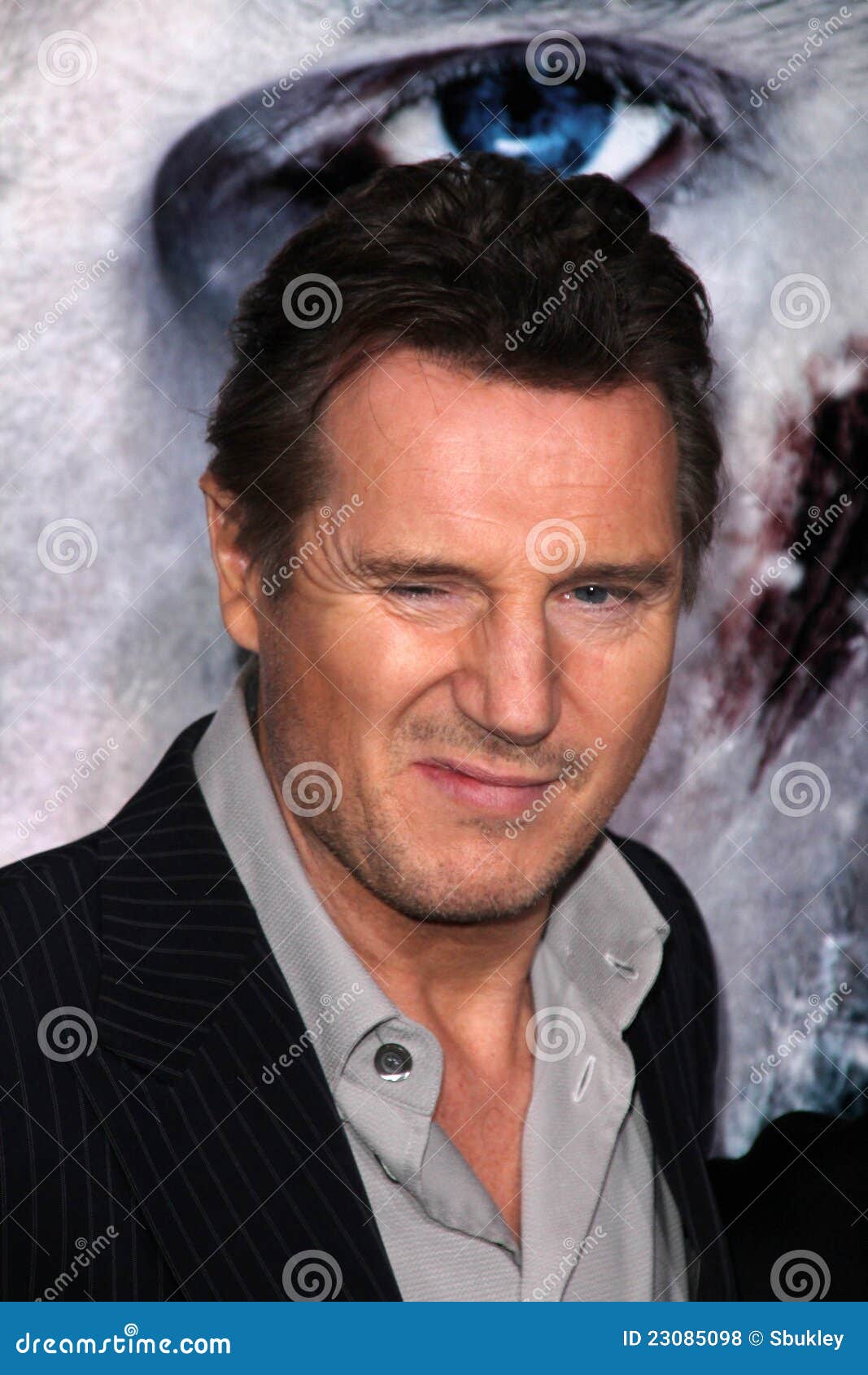Liam Neeson editorial stock photo. Image of liam, regal - 23085098