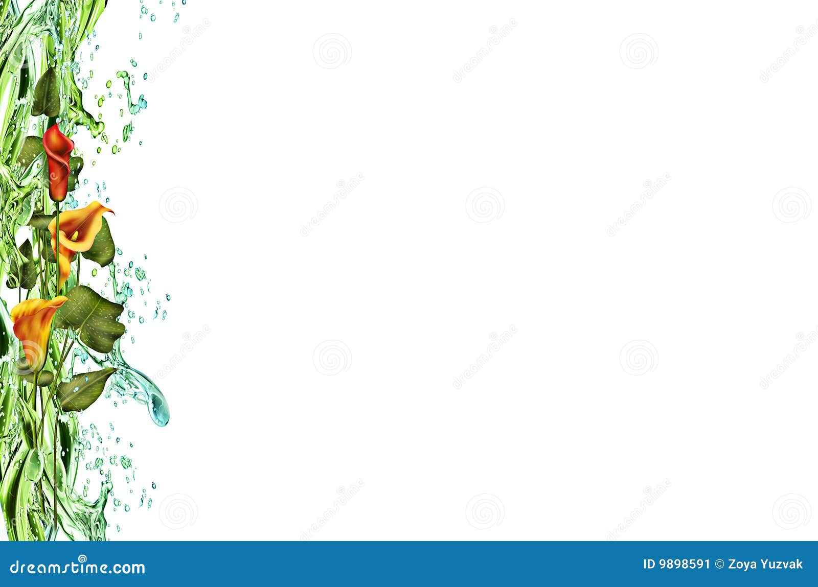 Liana flowers stock illustration. Illustration of drawing - 9898591