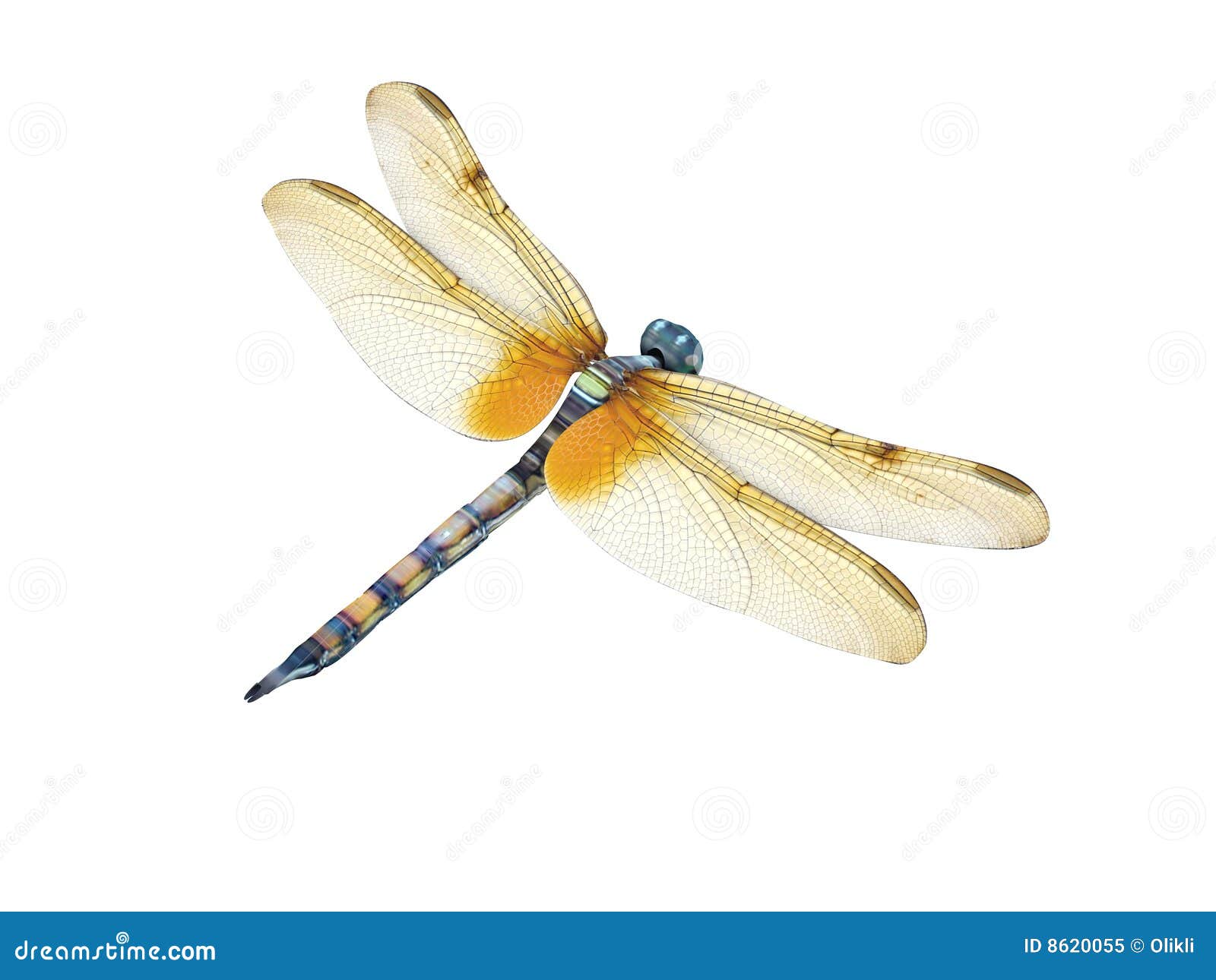 Libélula stock de ilustración. Ilustración de libélula - 8620055