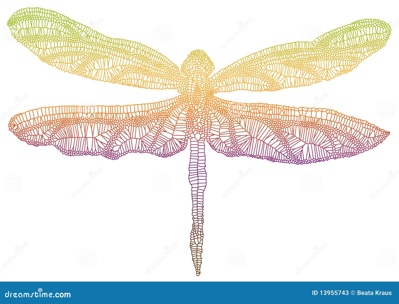 Libélula colorida ilustração do vetor. Ilustração de decorativo - 13955743