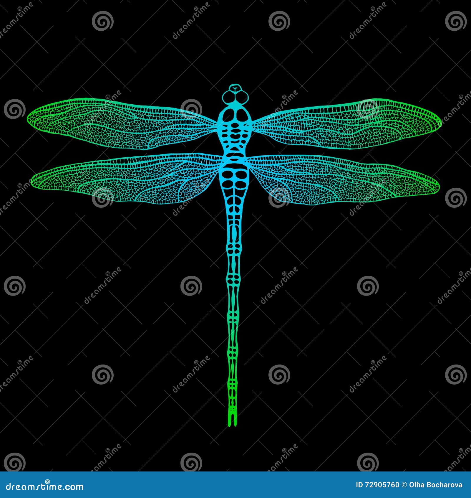 Libélula Libélula Del Vector Damselfly Dibujado Mano Ilustración del ...