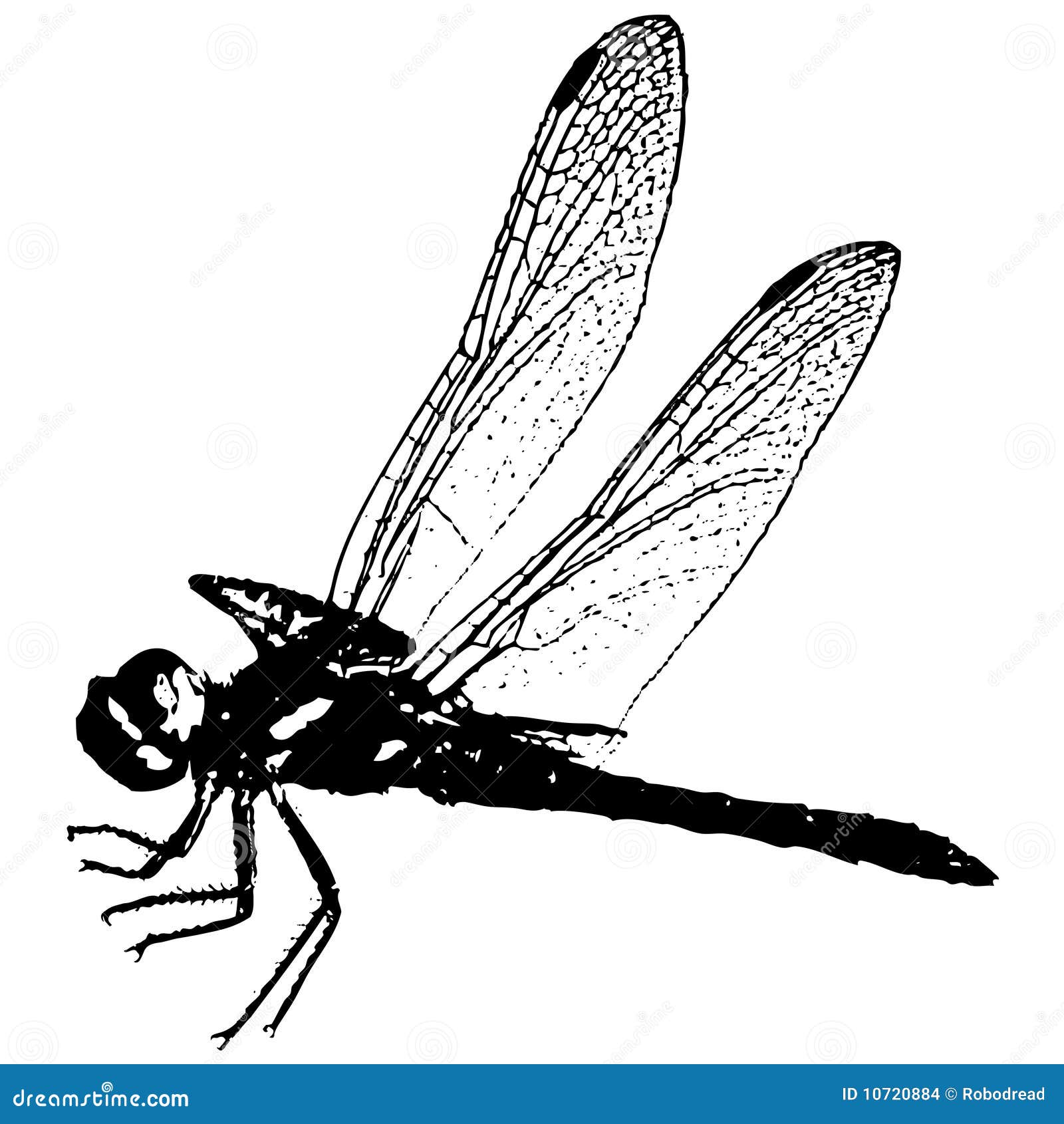 Libélula (vector) ilustración del vector. Ilustración de fondo - 10720884