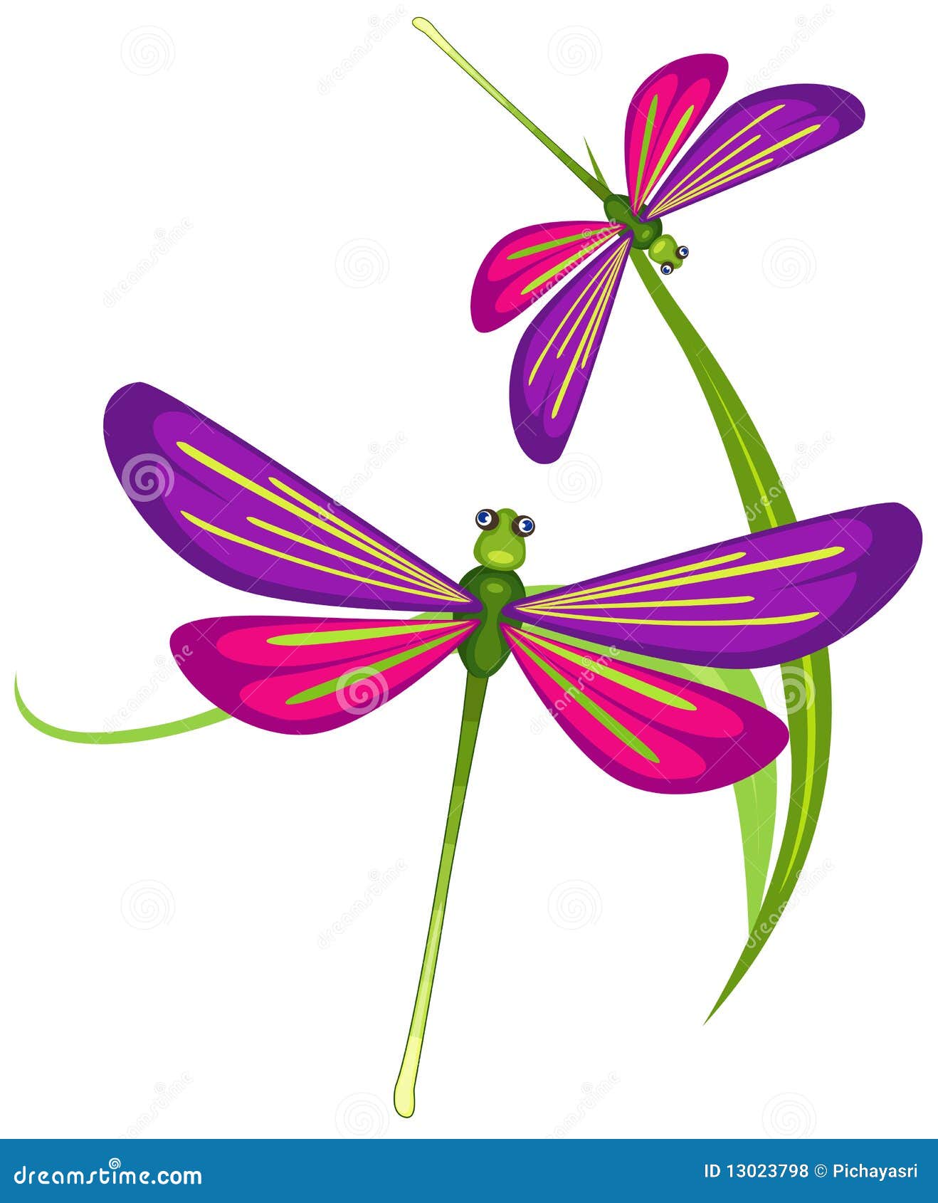 Libélulas ilustración del vector. Ilustración de floral - 13023798