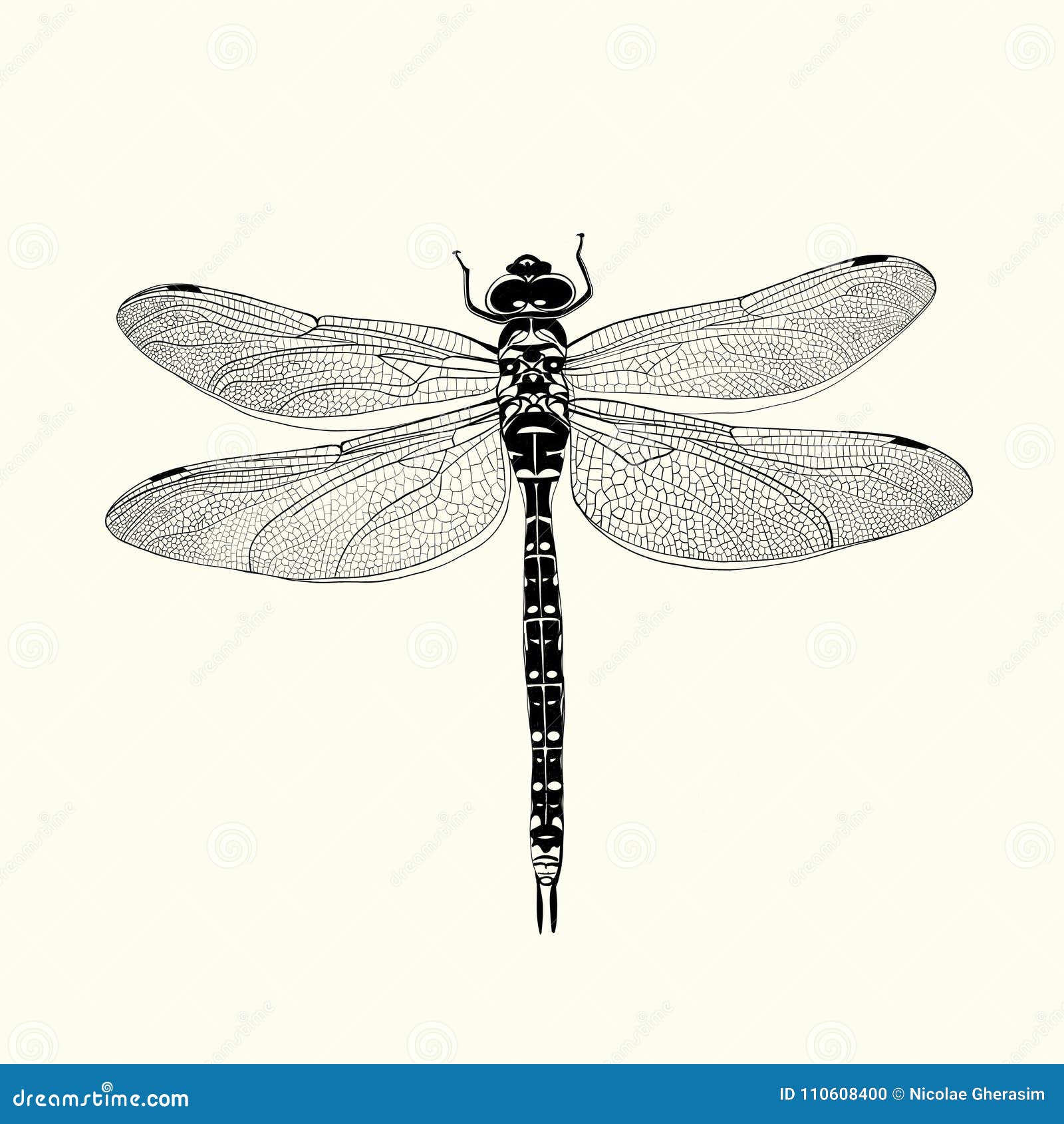 Libelillustratie stock illustratie. Illustration of grafisch - 110608400