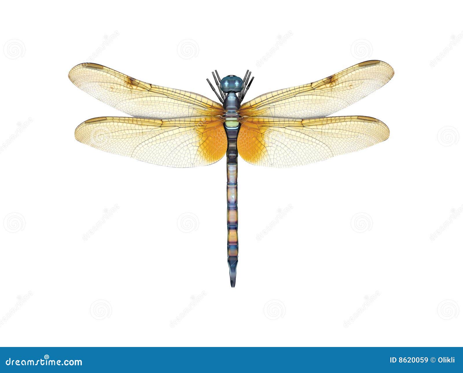 Libellula illustrazione di stock. Illustrazione di volo - 8620059