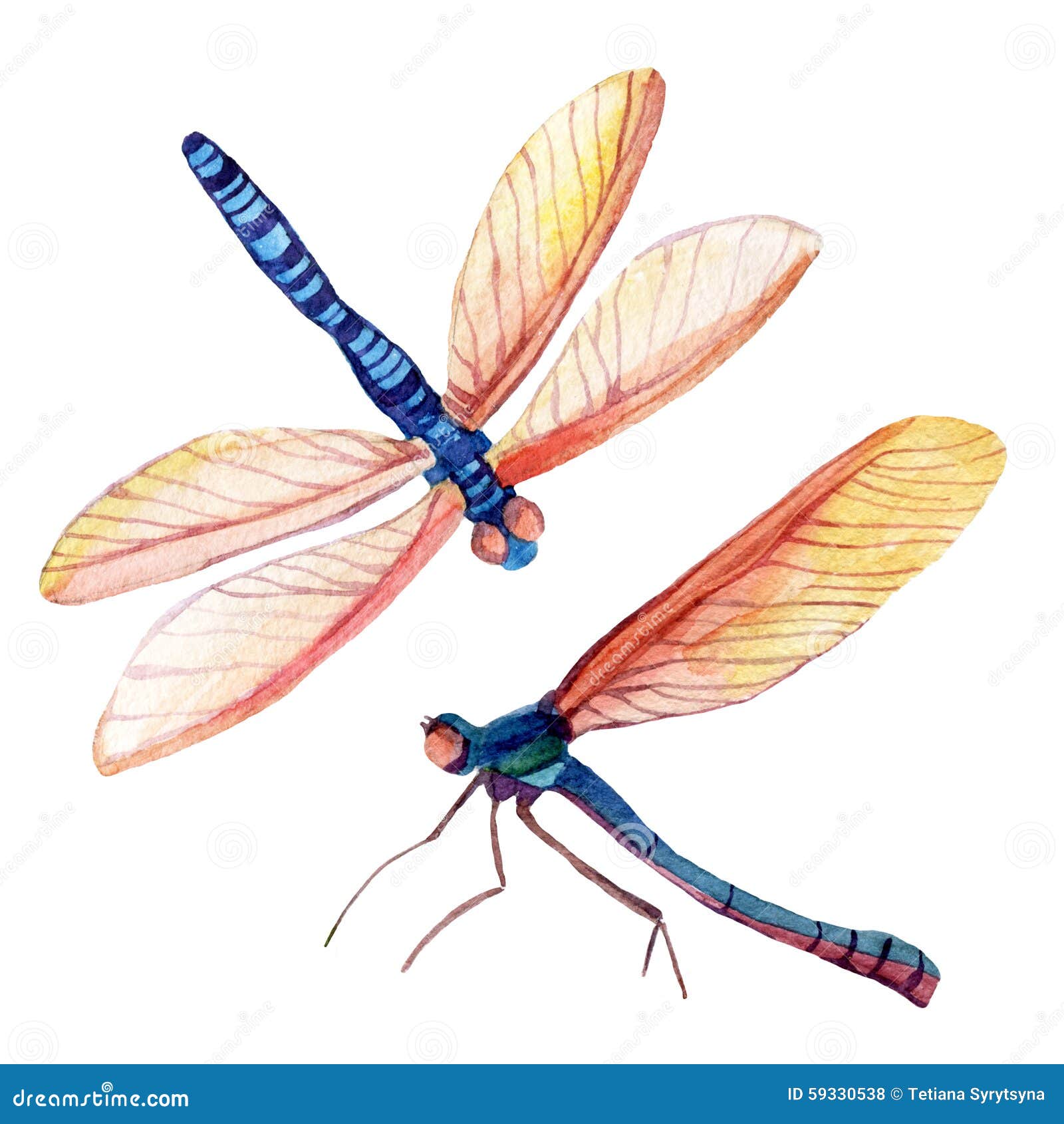 Libellule illustration stock. Illustration du main, automne - 59330538