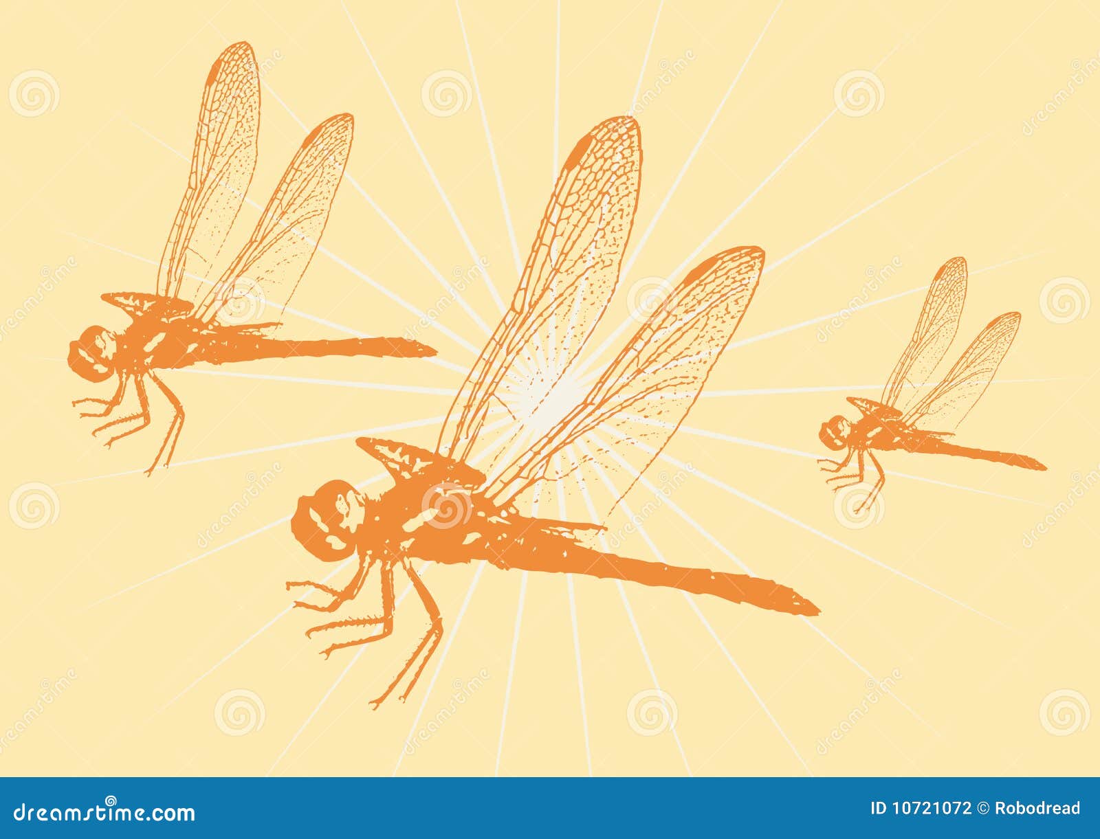 Libellules En Vol (vecteur) Illustration de Vecteur - Illustration du ...
