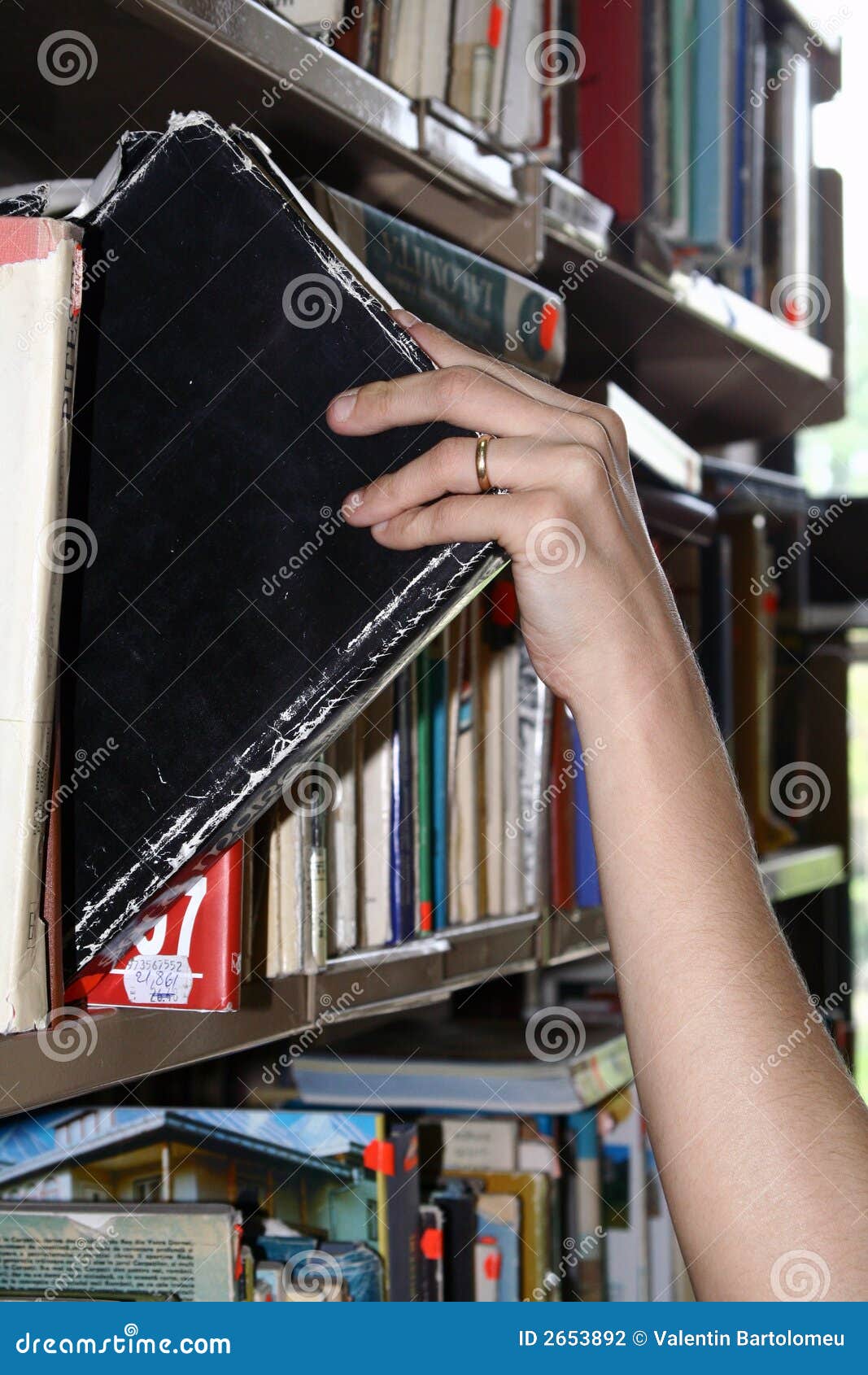 Librarian stock photo. Image of education, publications - 2653892