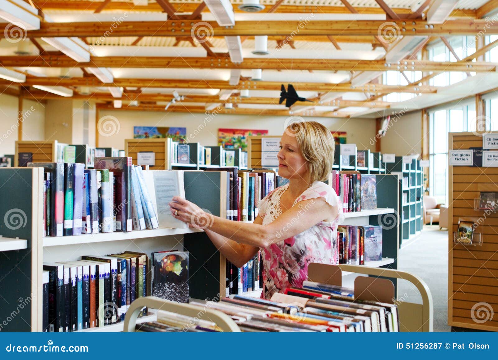 Librarian Replacing Books on Shelves Stock Image - Image of indoors ...