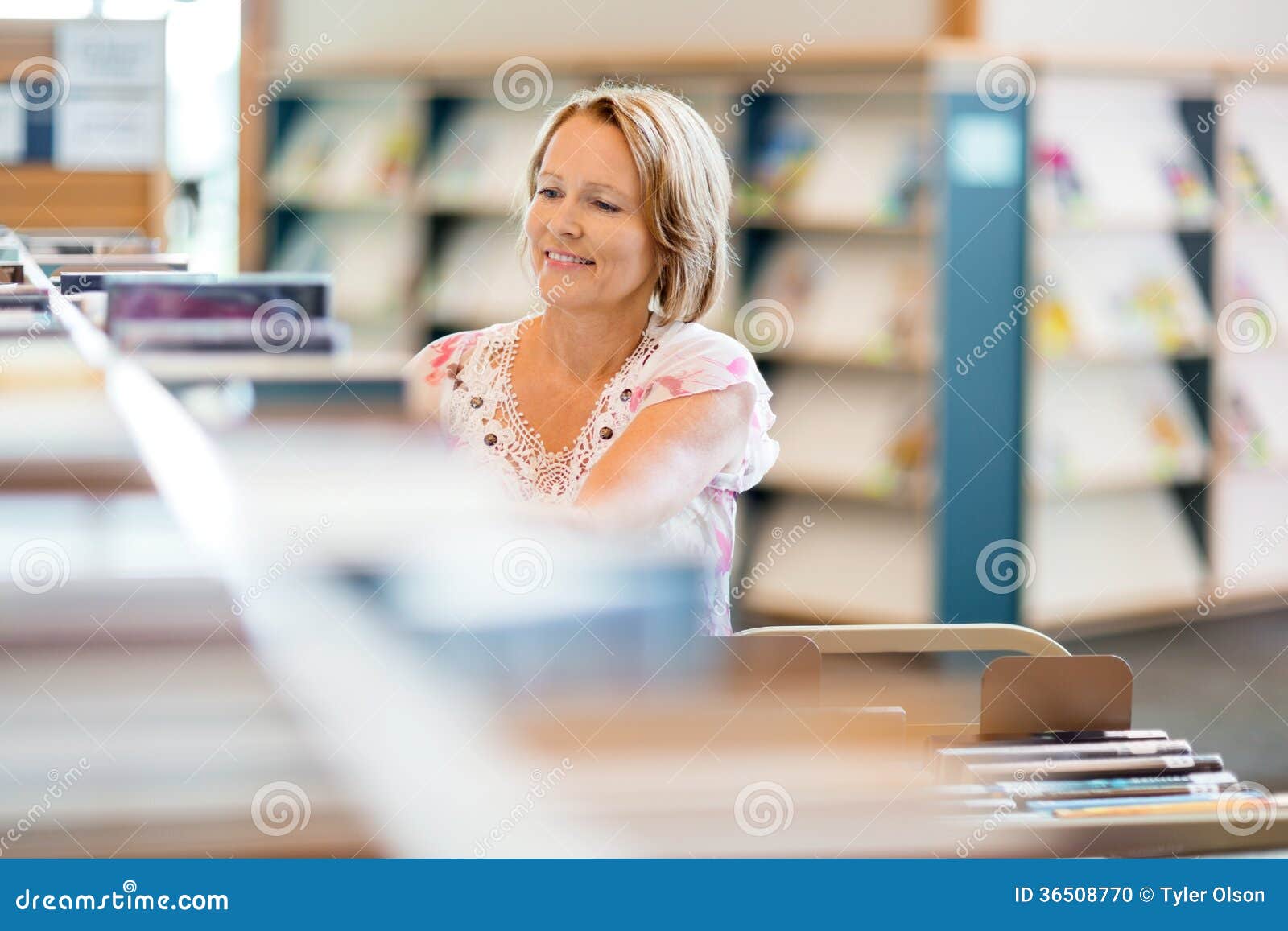 Librarian Working in Library Stock Photo - Image of occupation, happy ...