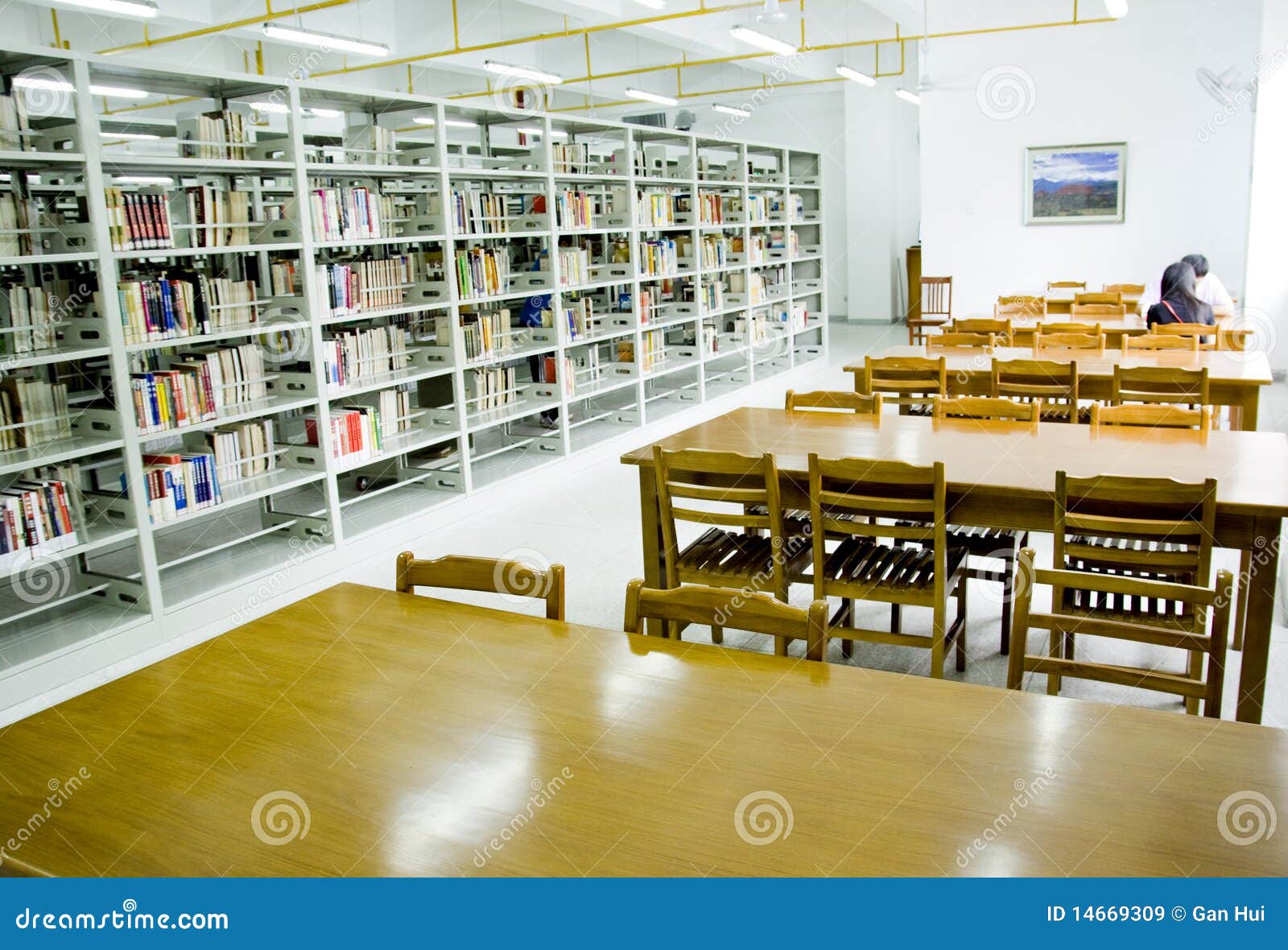 Library stock image. Image of intelligence, retro, concepts - 14669309