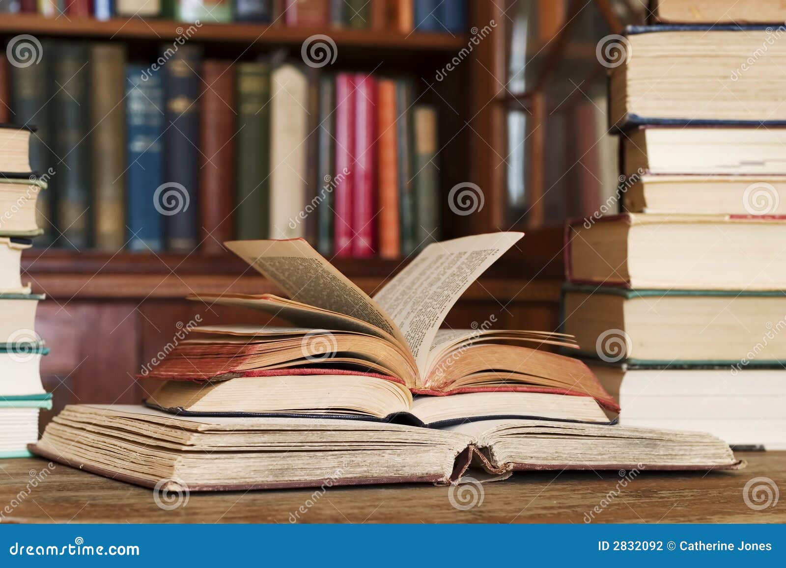 Library stock photo. Image of encyclopedia, bibliomania - 2832092