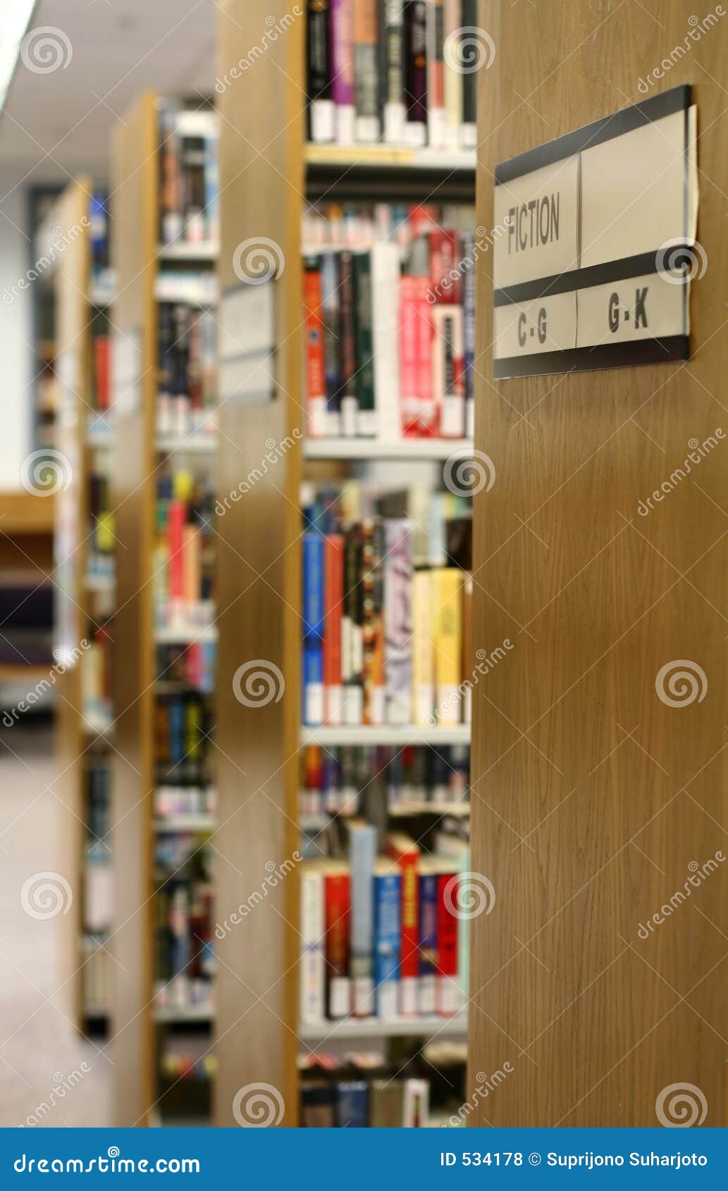 Library stock photo. Image of university, borrow, book - 534178