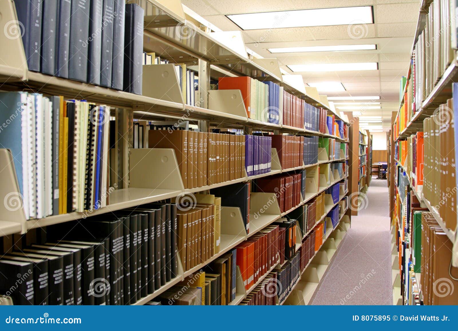 Library stock image. Image of high, library, university - 8075895 Library stock image. Image of high, library, university - 8075895