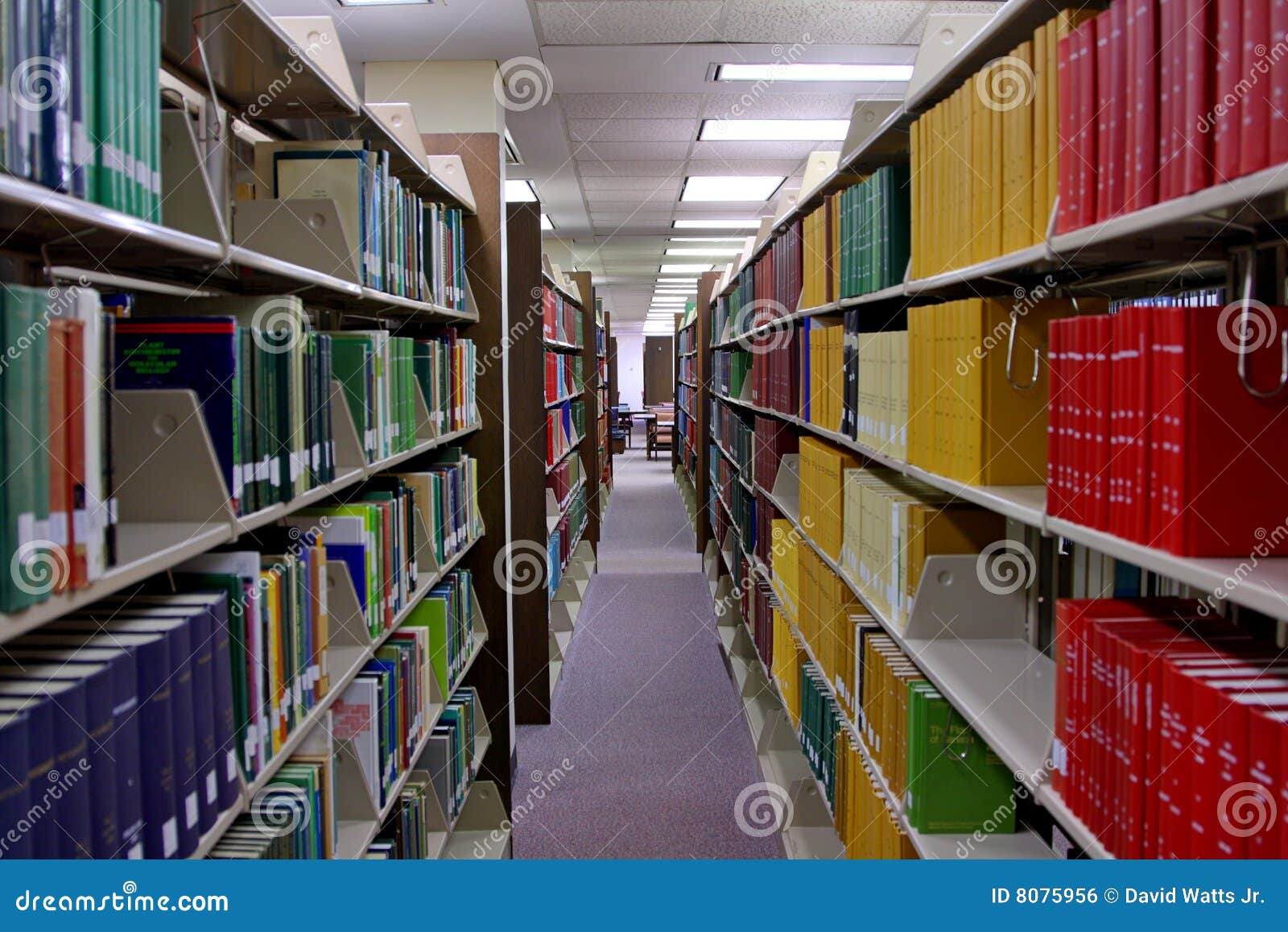 Library stock photo. Image of shelves, room, school, resource - 8075956