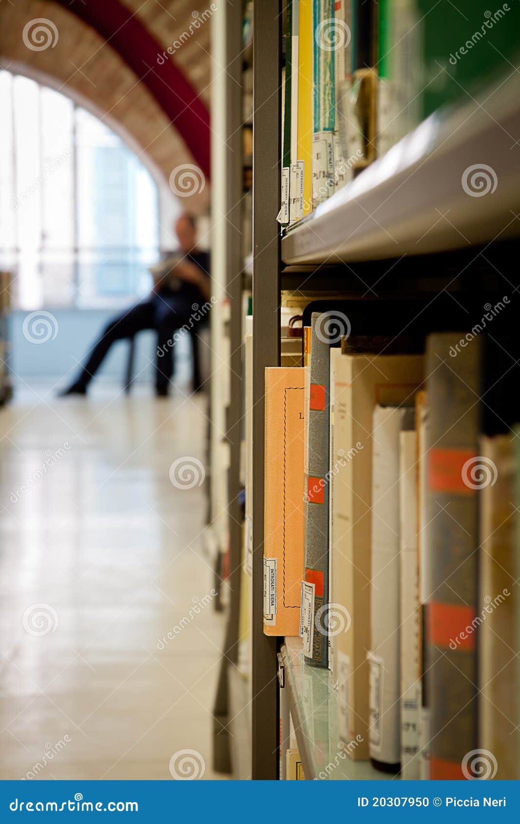 Library aisle close-up stock photo. Image of concentration - 20307950