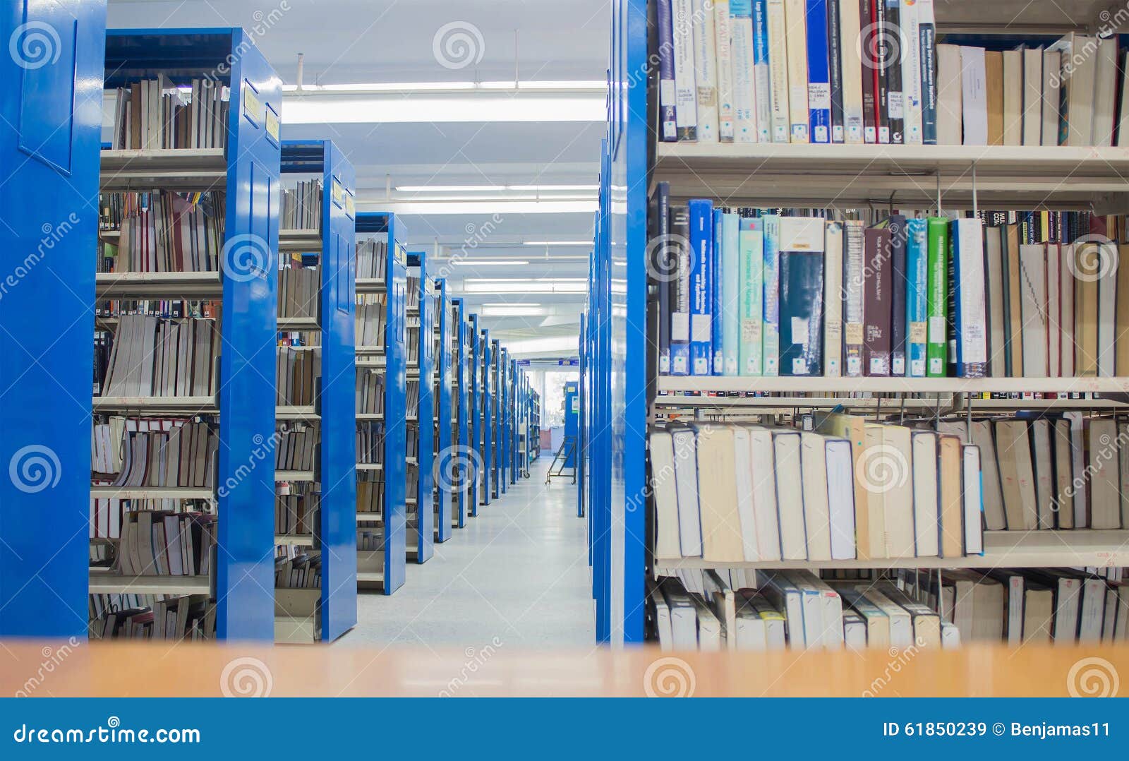 Library blur stock image. Image of books, blurred, library - 61850239