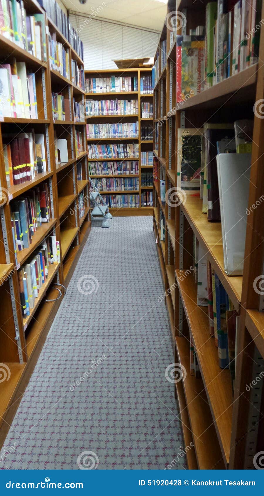 Library book shelves stock photo. Image of book, print - 51920428