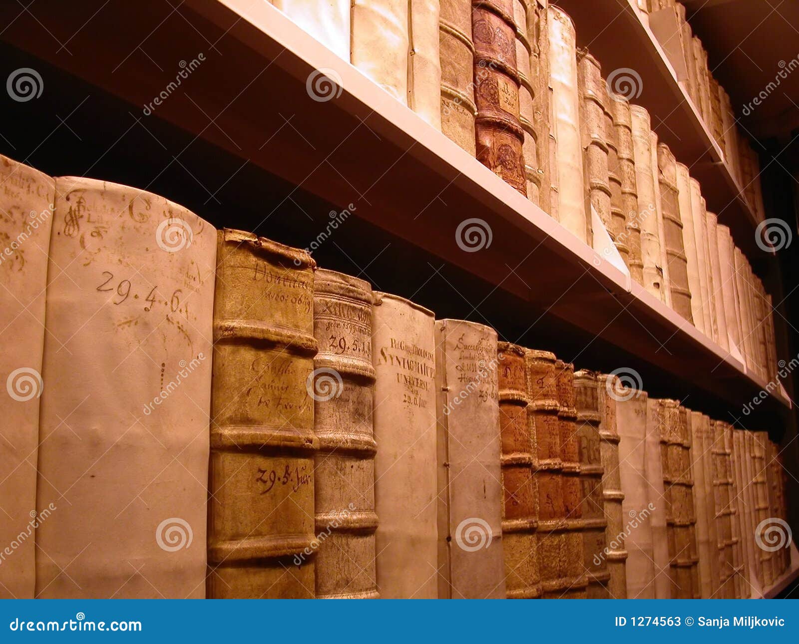 Library books stock image. Image of school, selection - 1274563