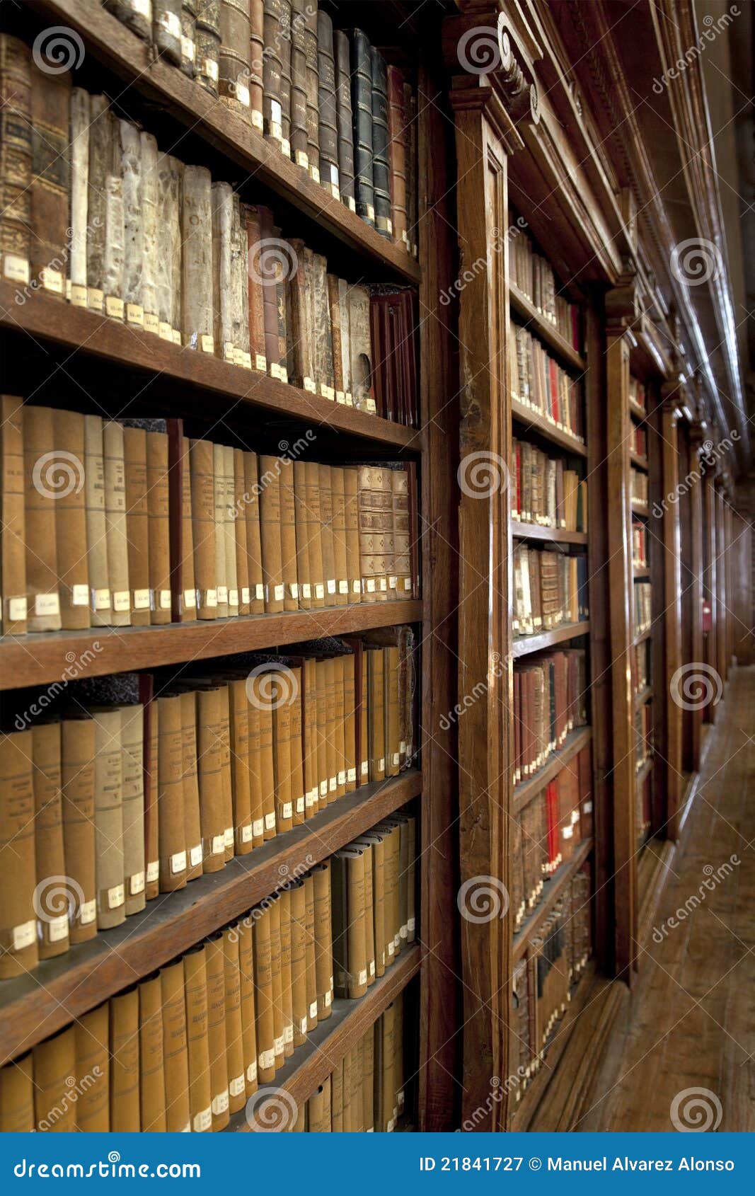 Library of books stock image. Image of culture, finance - 21841727