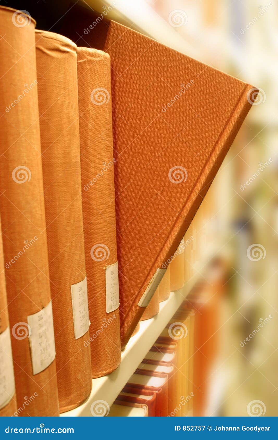Library books stock image. Image of classics, used, learning - 852757