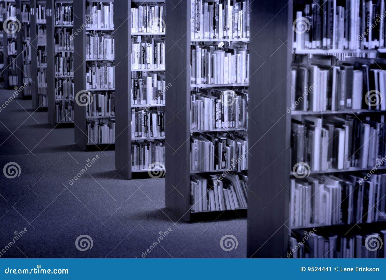 Library Books stock image. Image of hall, manuscript, education - 9524441